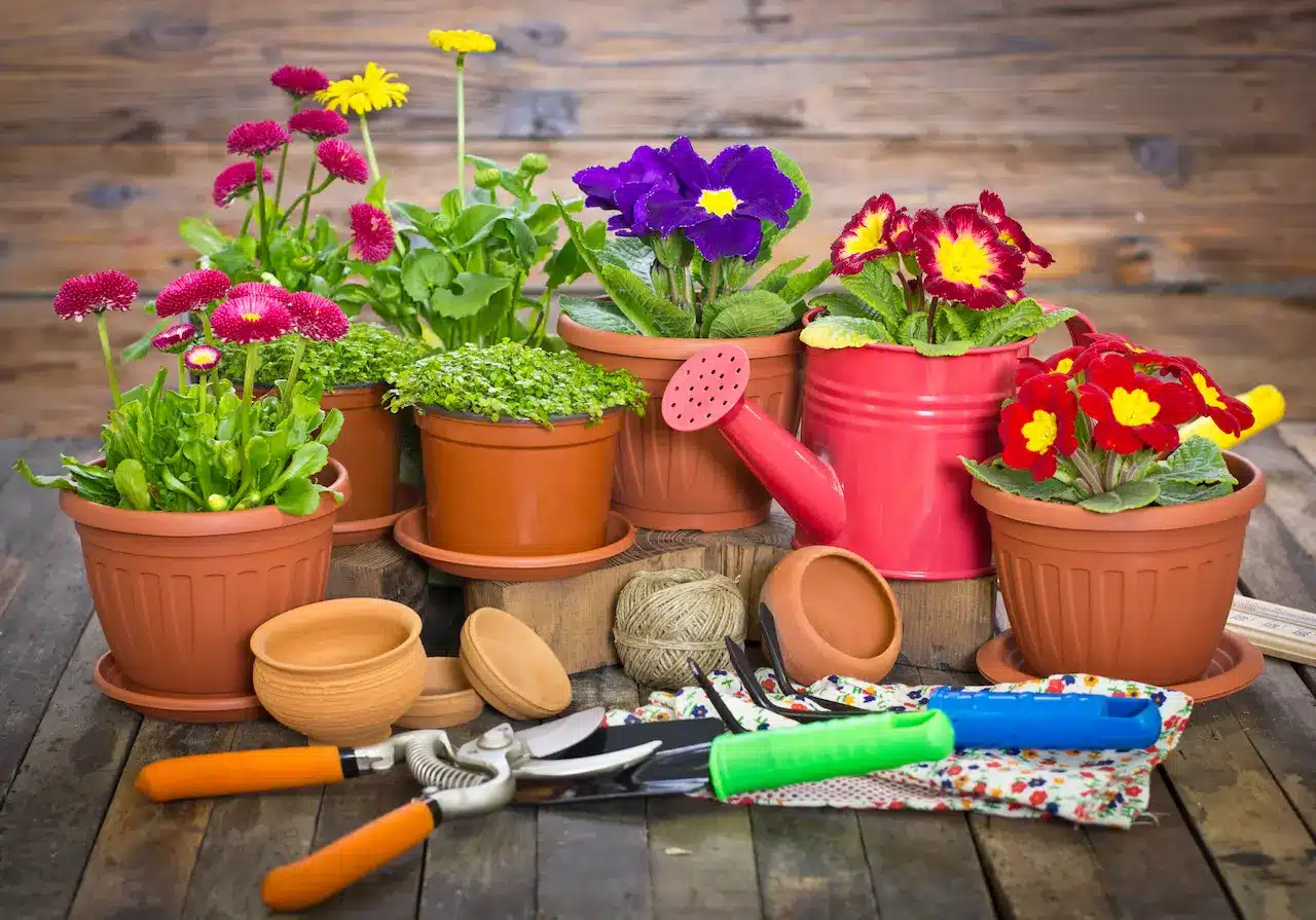 Top Gardening Tools | Essentials for Beginners | Garden Care